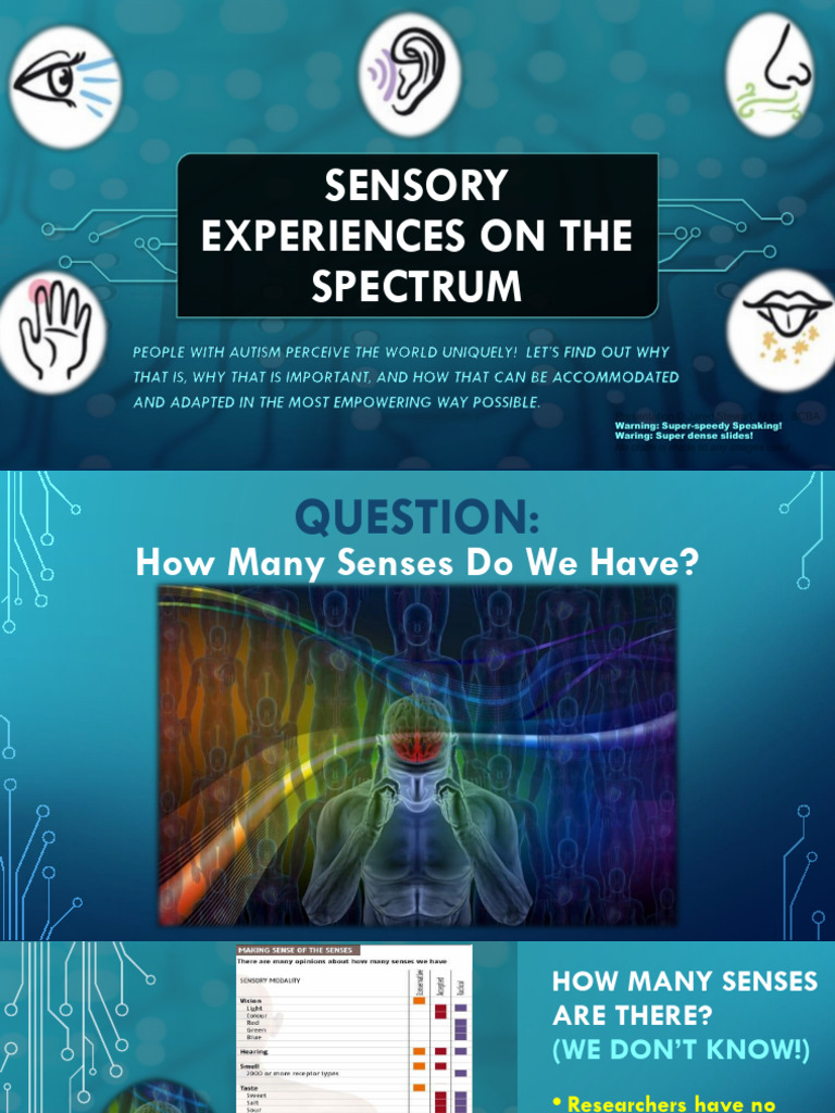 Sensory Experiences On The Spectrum | PDF | Senses | Perception