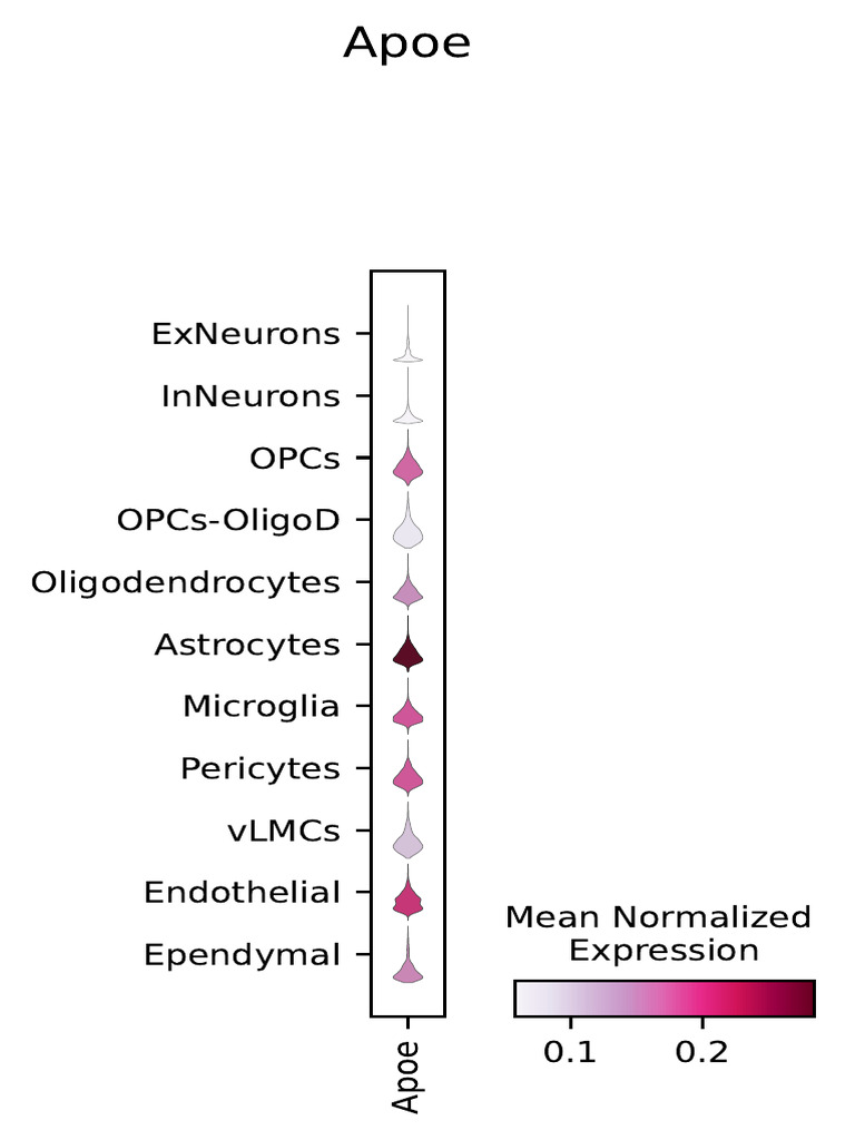 Stacked Violin Apoe Major Cell | PDF