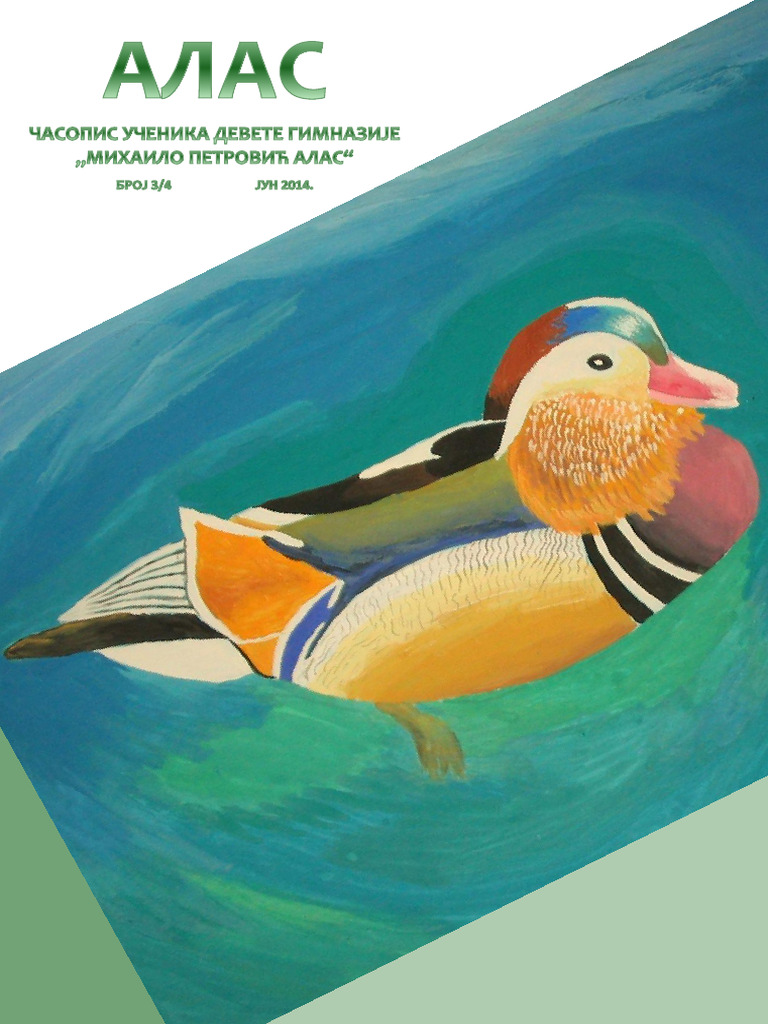 Deveta Gimnazija Casopis | PDF