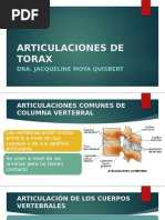 Articulaciones y Ligamentos de La Columna Vertebral | PDF