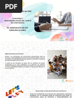 Funciones del Cocolab en el Trabajo | PDF