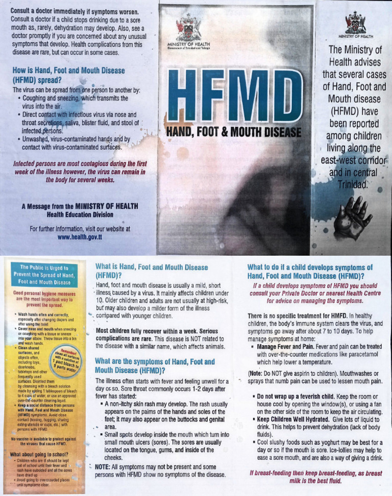 Hand Foot and Mouth Disease | PDF