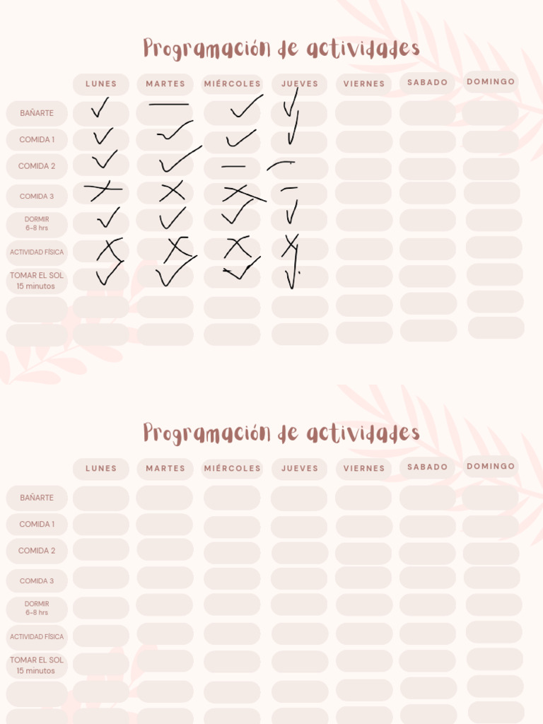 Programación de Actividades PDF | PDF