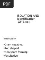 Biochemical Test and Identification of E.coli | PDF | Escherichia Coli
