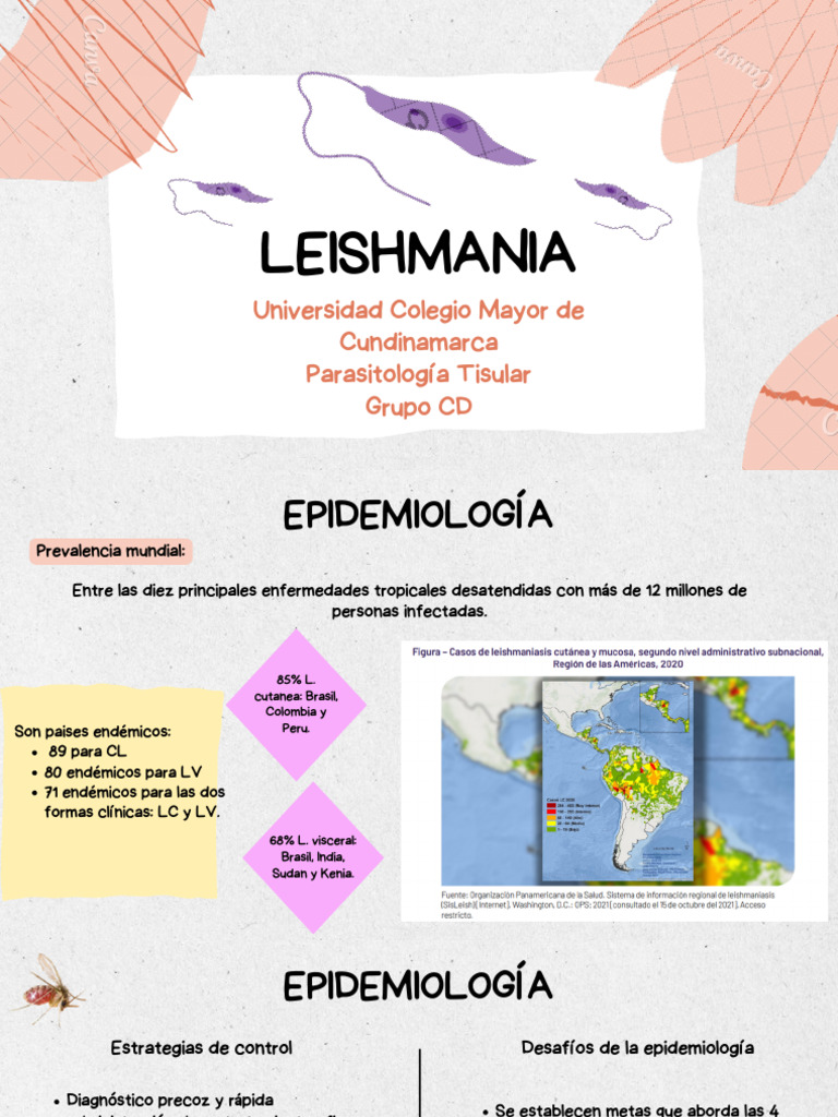 Leishmania Spp. | PDF | Leishmania | Citocina
