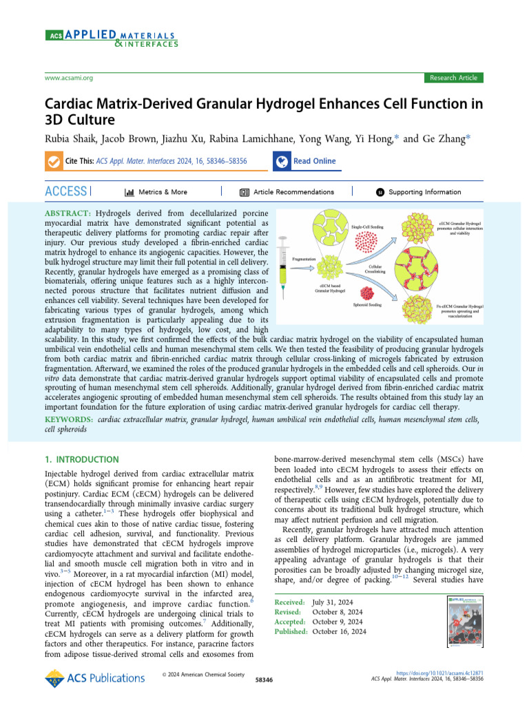Shaik Et Al 2024 Cardiac Matrix Derived Granular Hydrogel Enhances Cell Function in 3d Culture ...