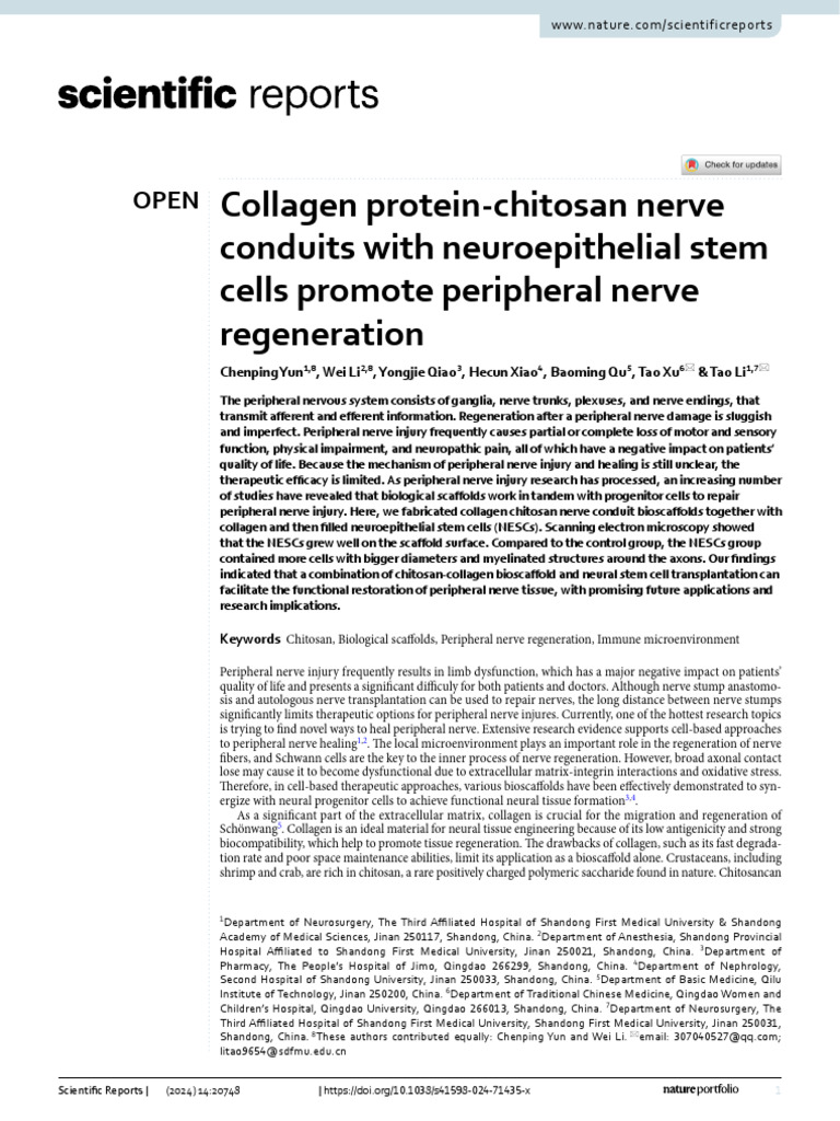 Collagen Protein-Chitosan Nerve Conduits With Neuroepithelial Stem ...