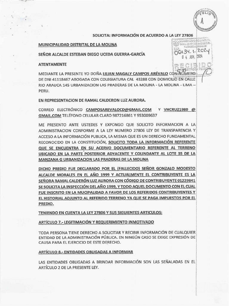 Solicitud de Informacion Municipalidad Año 1999 | PDF