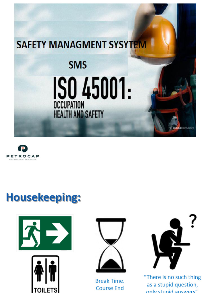Sms | PDF | Risk | Safety