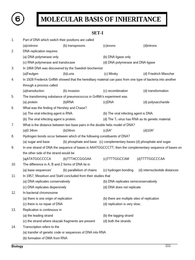 DNA Replication and Protein Synthesis Quiz | PDF | Operon | Gene