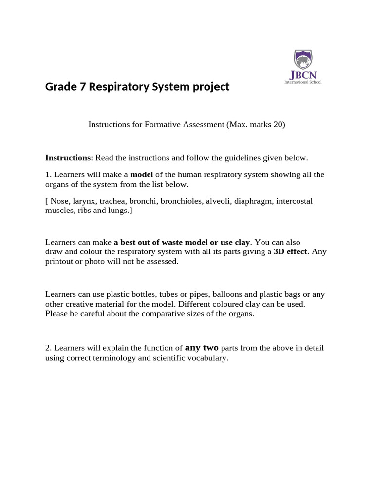 Clay Model Project: Respiratory System | PDF | Respiratory System ...