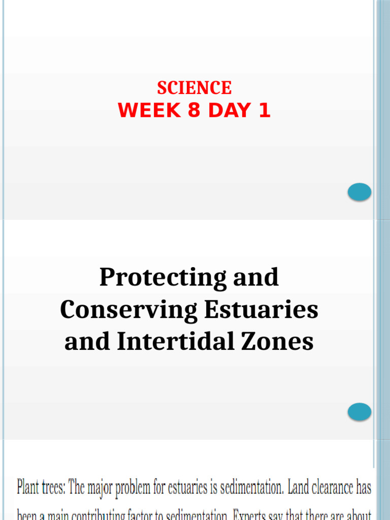 WEEK 8 Q2 SCI Day 1 5 | PDF | Estuary | Hydrology
