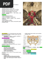 Celda Parotídea y Glandula Parotida RESUMEN | PDF ...