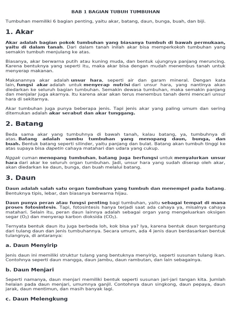 Struktur dan Fungsi Bagian Tumbuhan | PDF