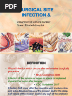 AORN Surgical Wound Classification Decision Tree | PDF