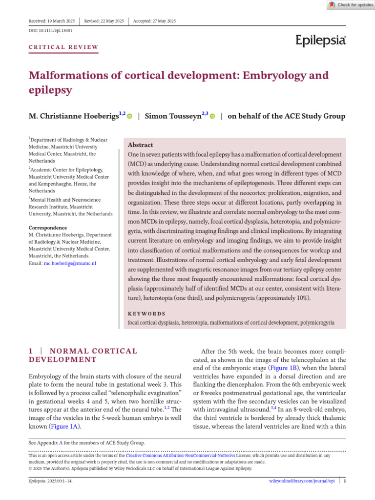 Embryology of Cortical Malformations | PDF | Cerebral Cortex | Neuron