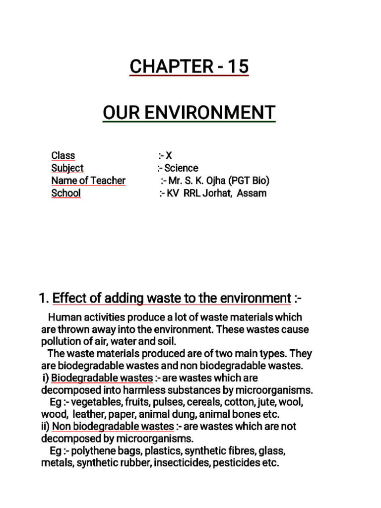 Our Environment Class 10 | PDF