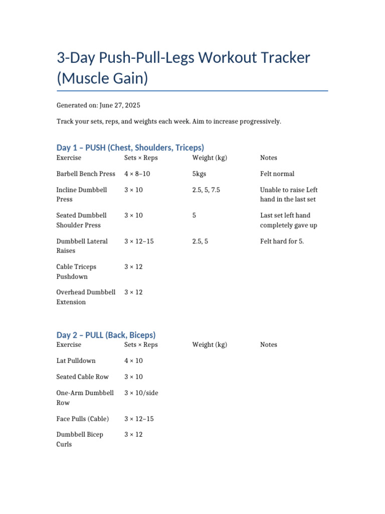 3-Day PPL Workout Tracker | PDF