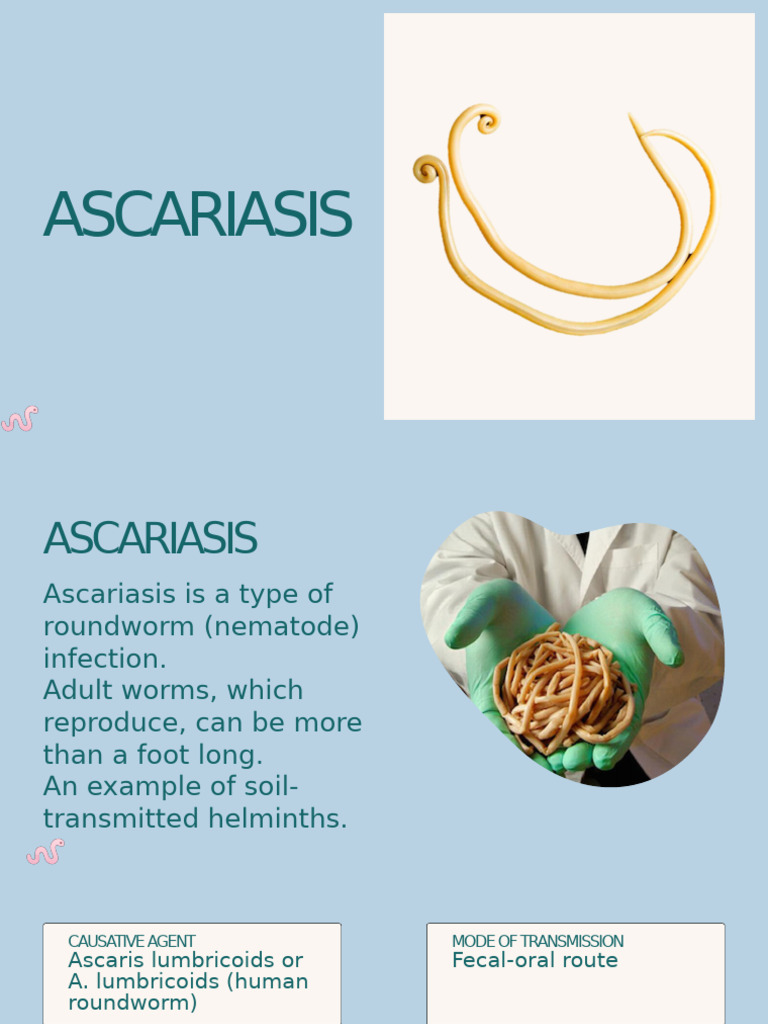 A Presentation On Ascariasis-A Roundworm Infection | PDF | Diseases And ...