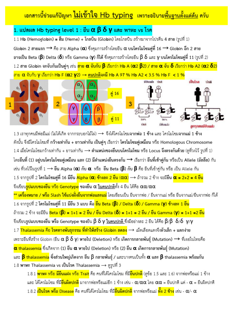 แปลผล Hb Typing | PDF