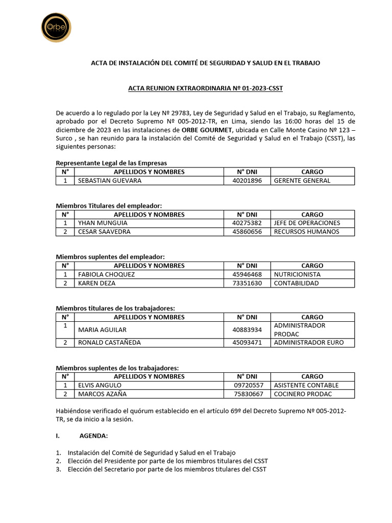 Acta Instalacion Comite SST - 2 | PDF | Gobierno