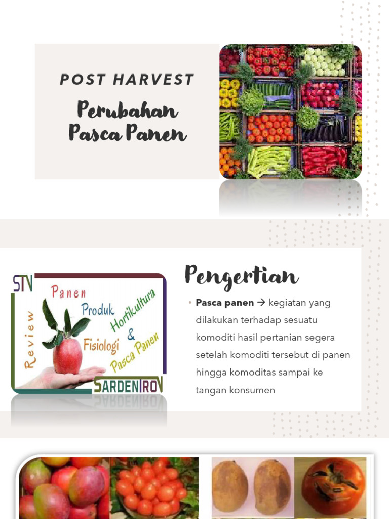 Perubahan Pasca Panen | PDF
