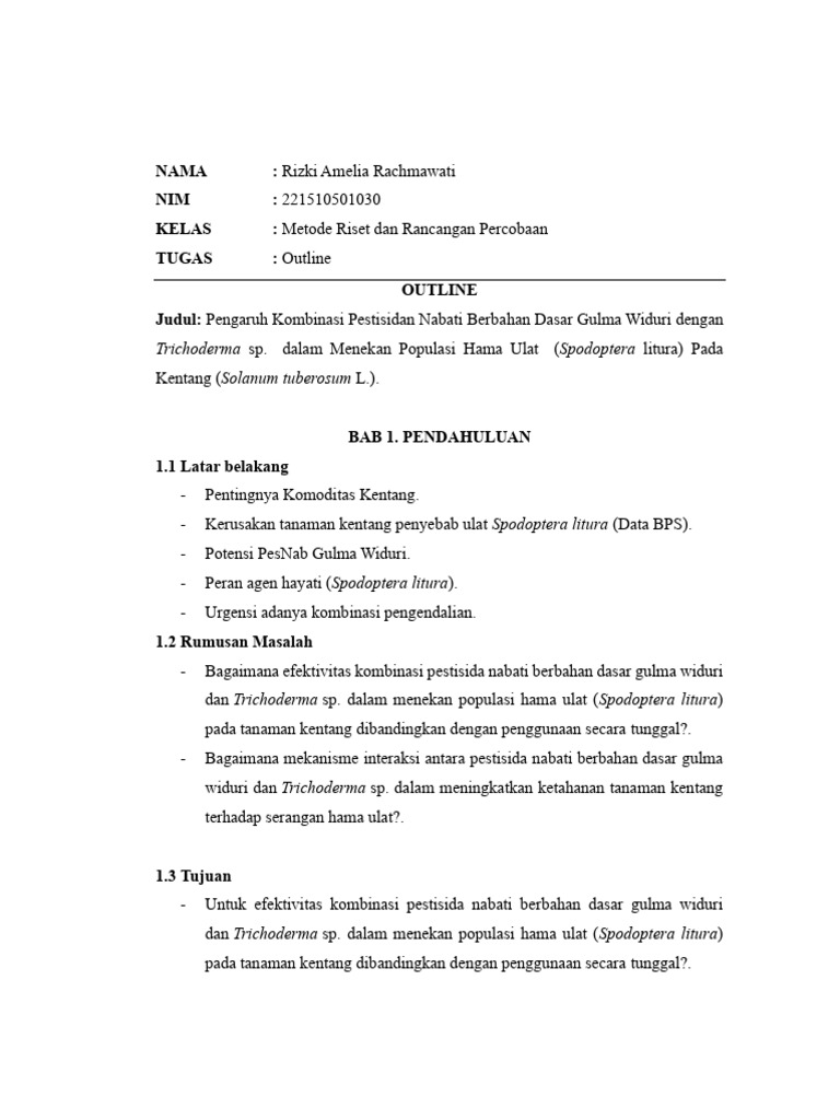 Rizki Amelia - 221510501030 - Rancob C (Outline) | PDF