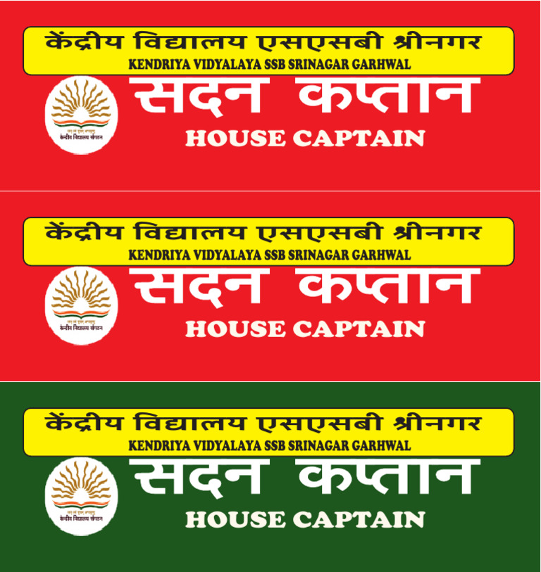 Council Badges | PDF | Educational Organizations | Domestic Policy