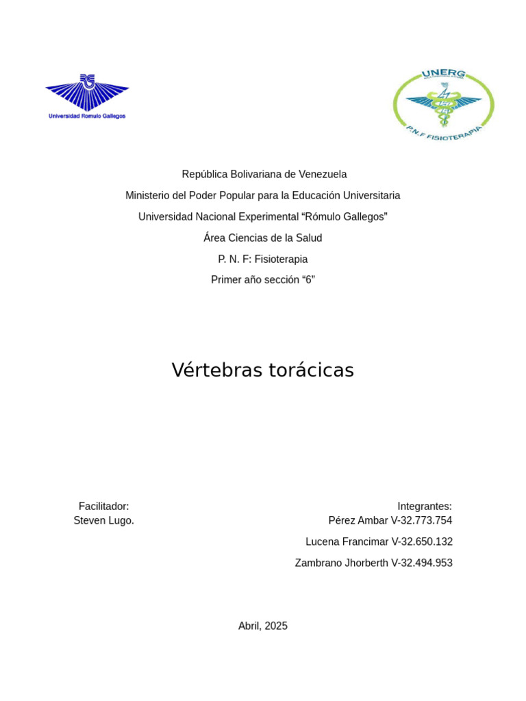 Anatomía de las Vértebras Torácicas | PDF | Vértebra | Tórax (anatomía ...