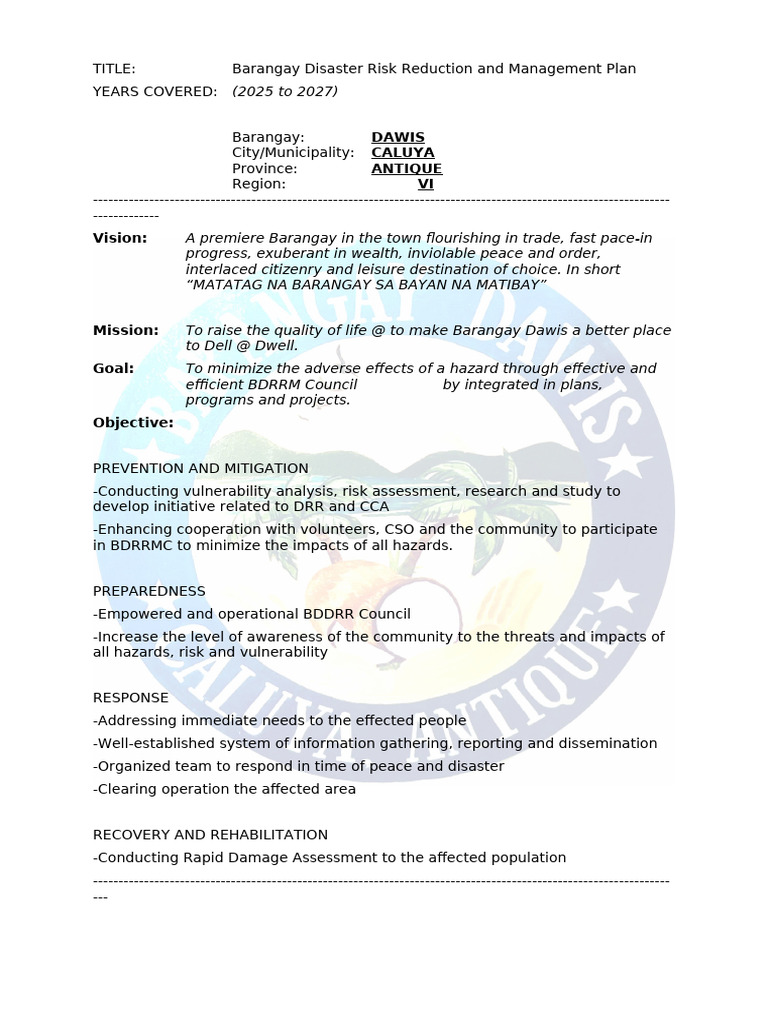 BDRRM Plan Template English (1) New BLANK | PDF | Emergency Evacuation | Disaster Risk Reduction