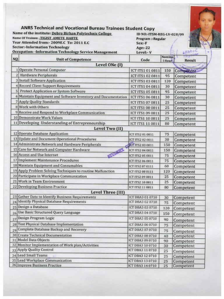Diploma IT | PDF