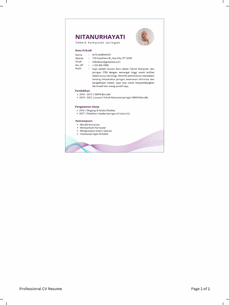 Professional CV Resume - PDF 2 | PDF