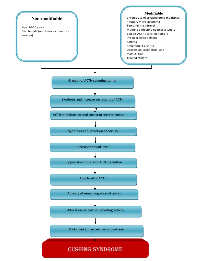 Concept Map Cushing | PDF | Adrenocorticotropic Hormone | Endocrine System