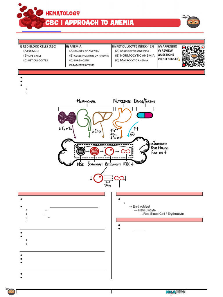 CBC Approach To Anemia (2) Atf | PDF | Anemia | Diseases And Disorders