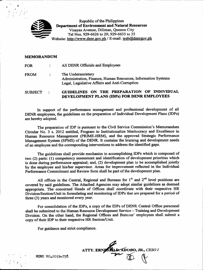 Idp Guidelines | PDF