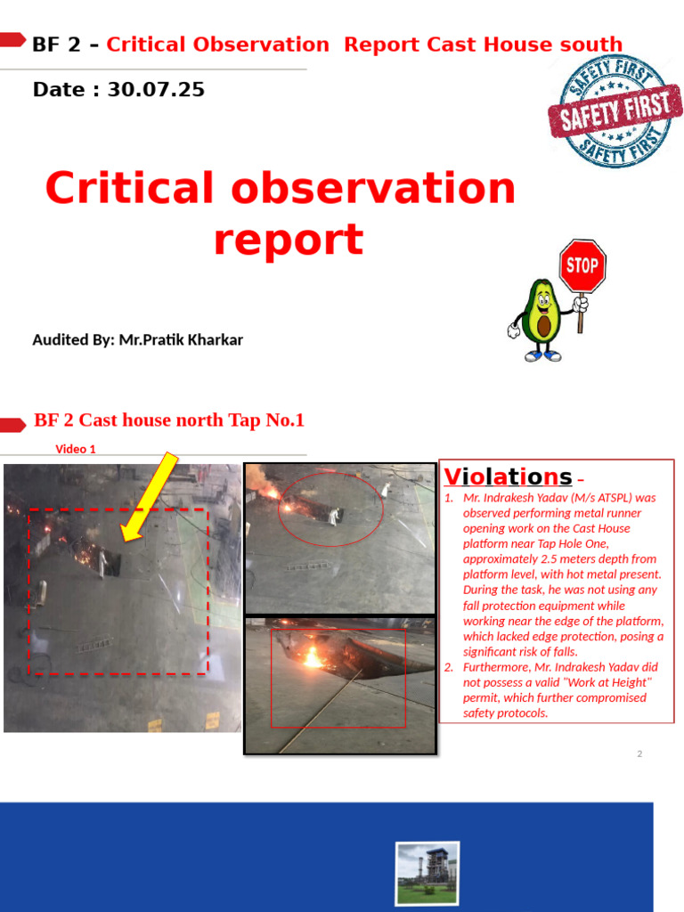 BF Critical Observation Report | PDF