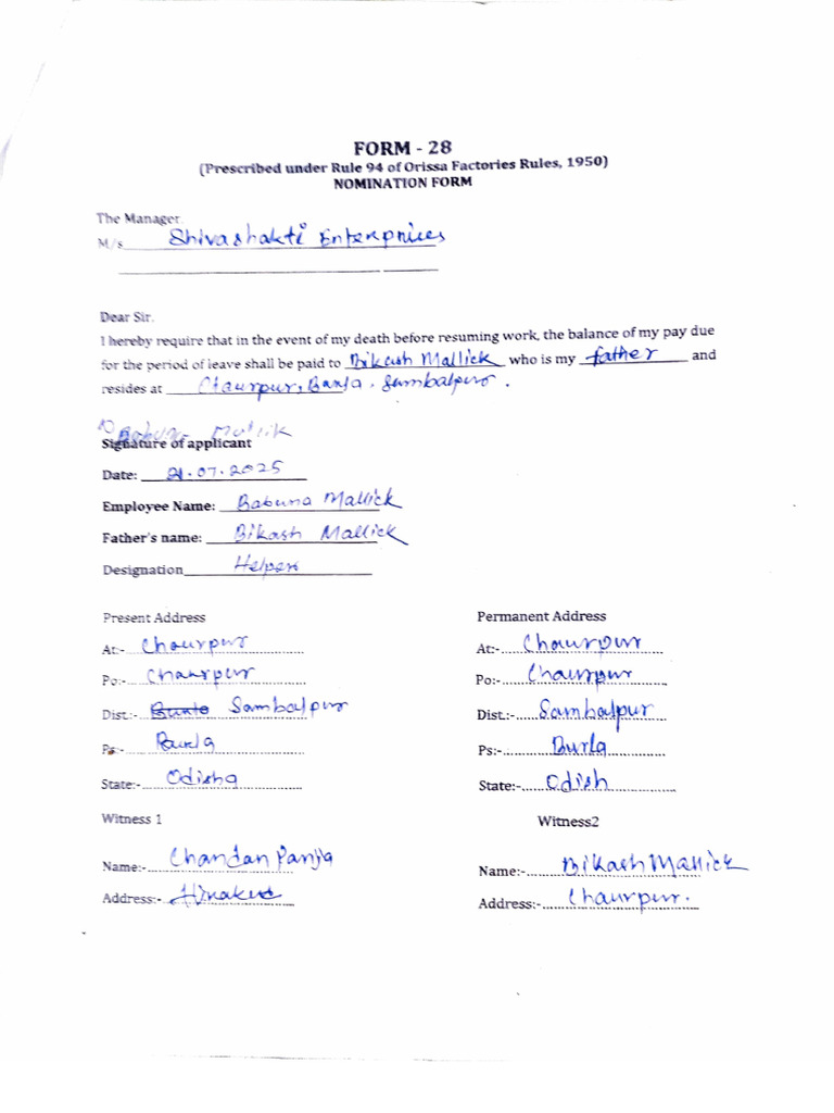 Babuna Form 28 | PDF