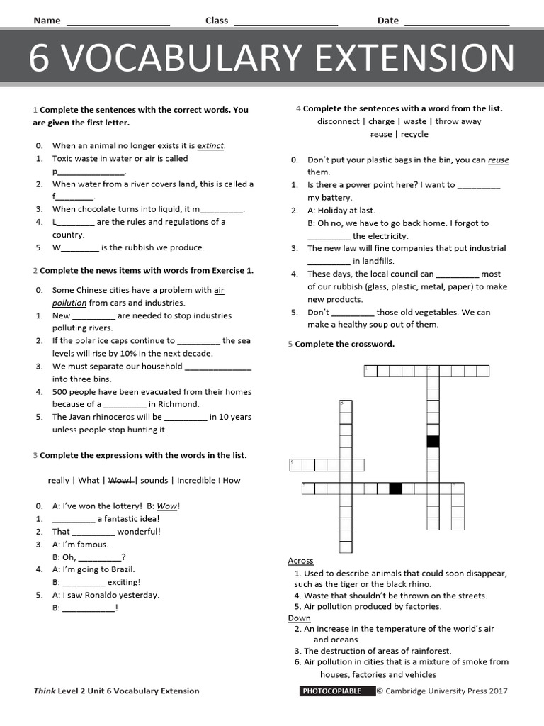 THINK L2 Unit 6 Vocabulary Extension | PDF | Waste | Natural Environment