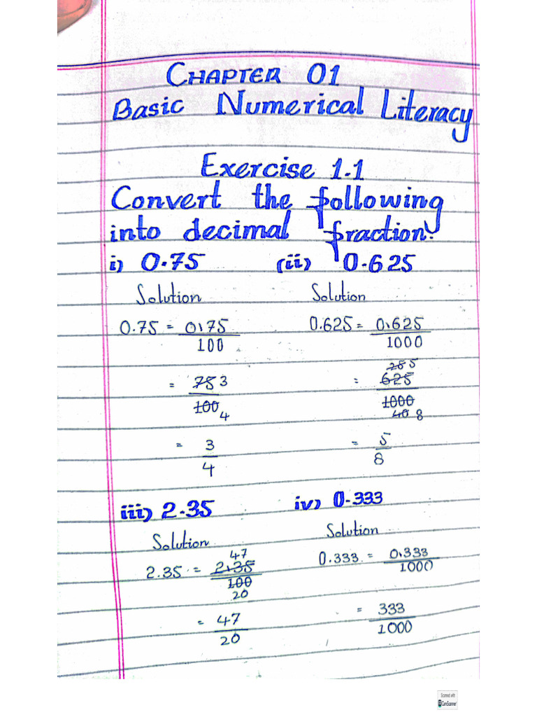 Numerical Literacy | PDF
