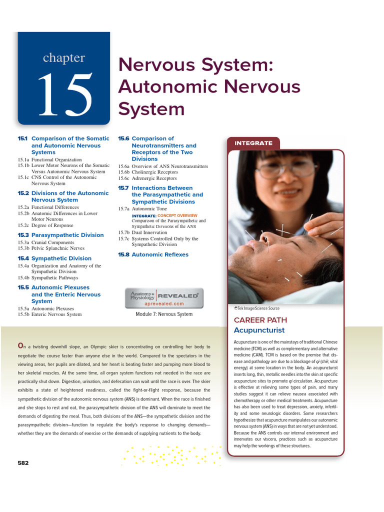Chapter 15 - Autonomic Nervous System | PDF | Autonomic Nervous System | Motor Neuron
