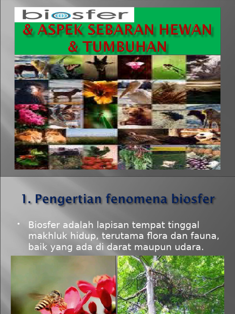 Biosfer Aspek Sebaran Hewan Tumbuhan 1 | PDF