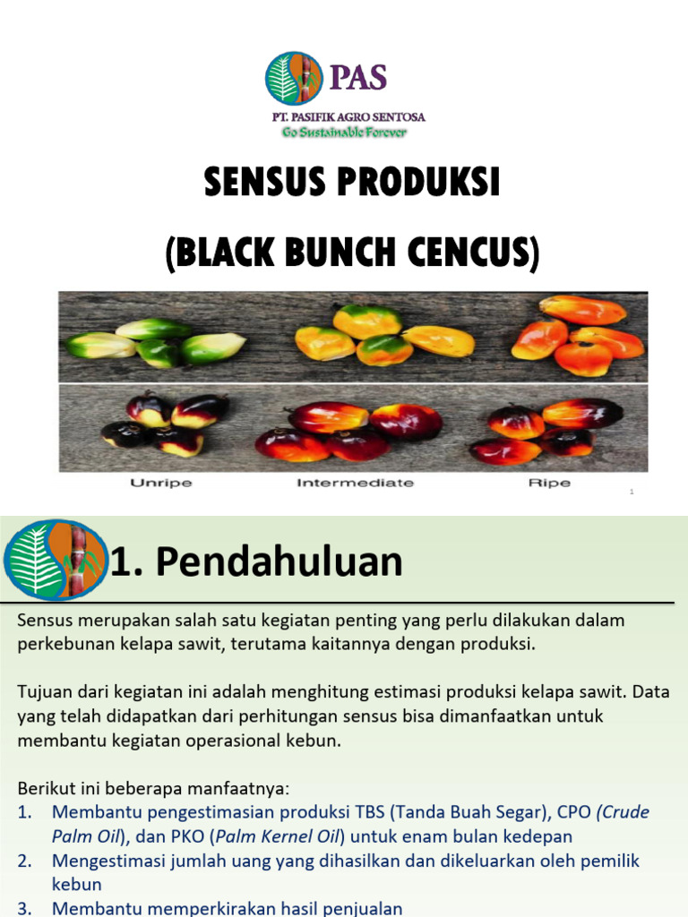 Sensus Produksi Kelapa Sawit dan Metode | PDF