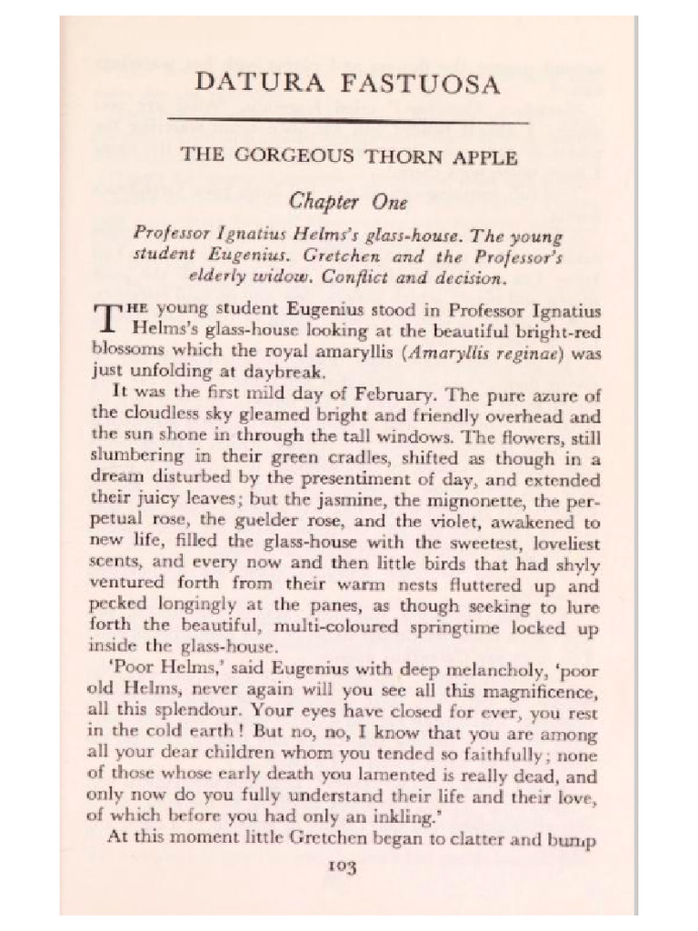 Datura Fastuosa (English) - Hoffmann | PDF
