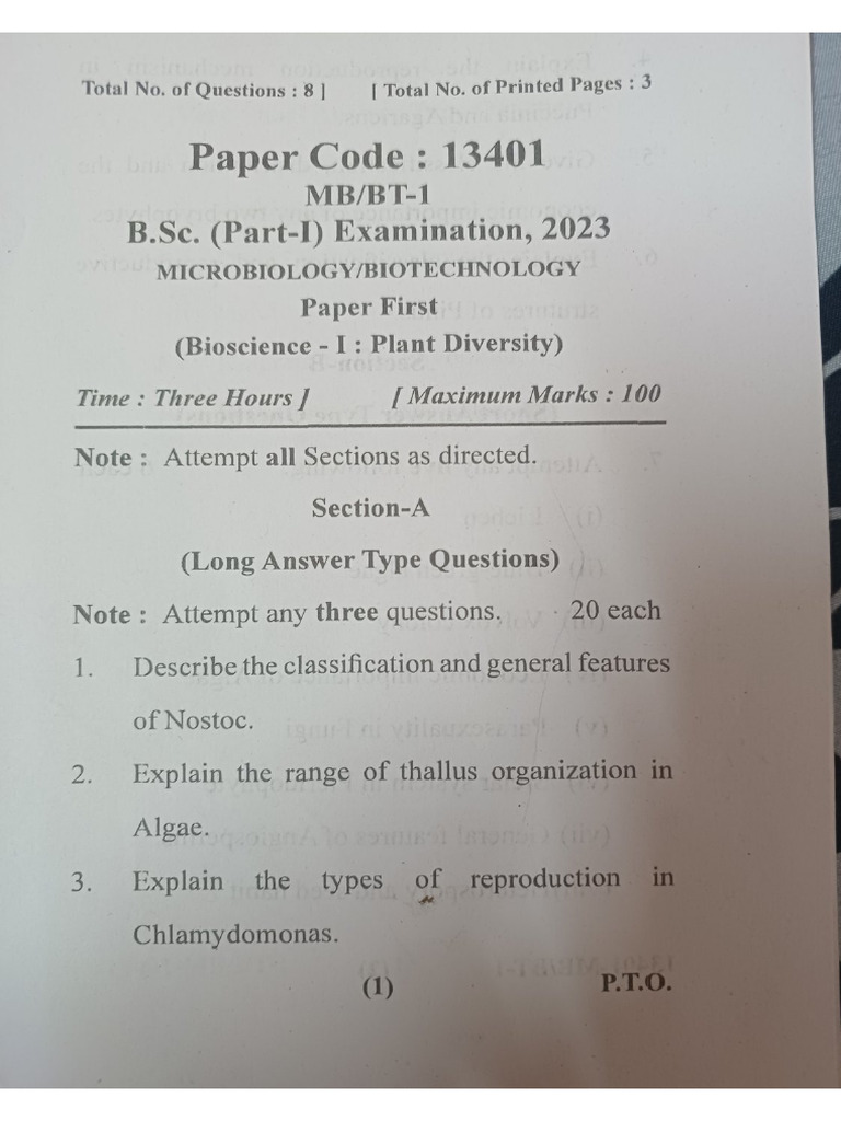 First Year Paper | PDF