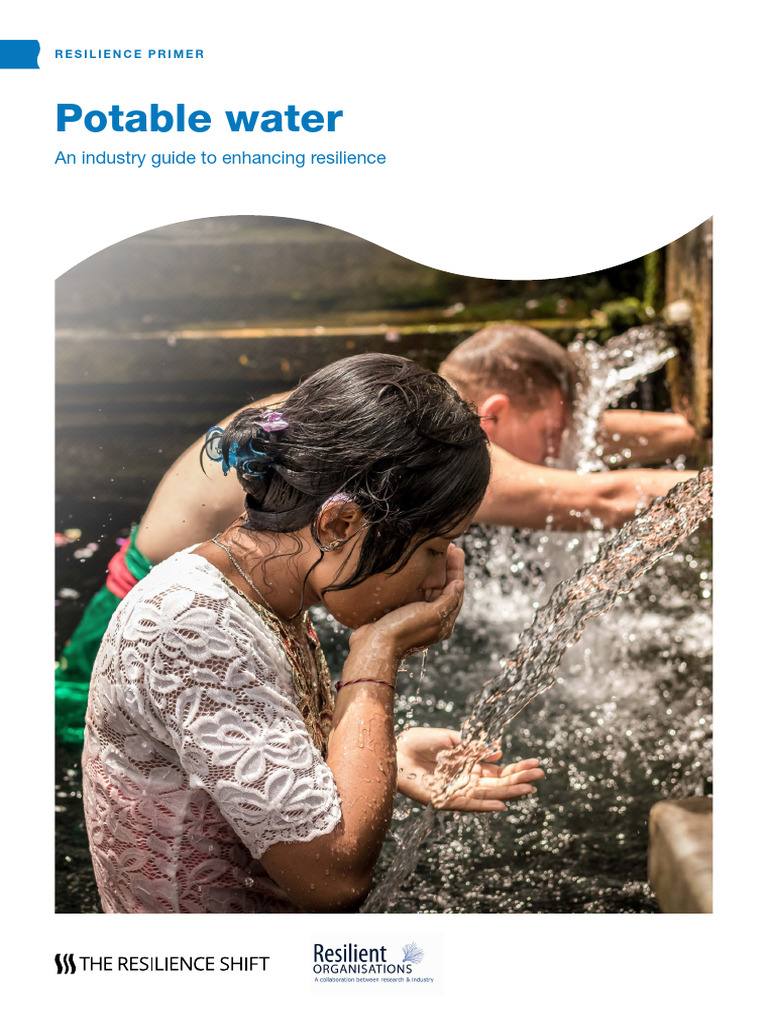 RP Potable Water Final Pages | PDF | Infrastructure | Psychological ...