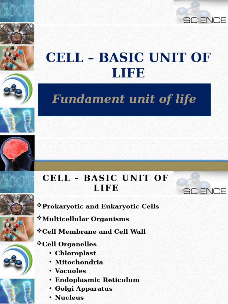 Unicellular vs. Multicellular Organisms | PDF | Endoplasmic Reticulum ...