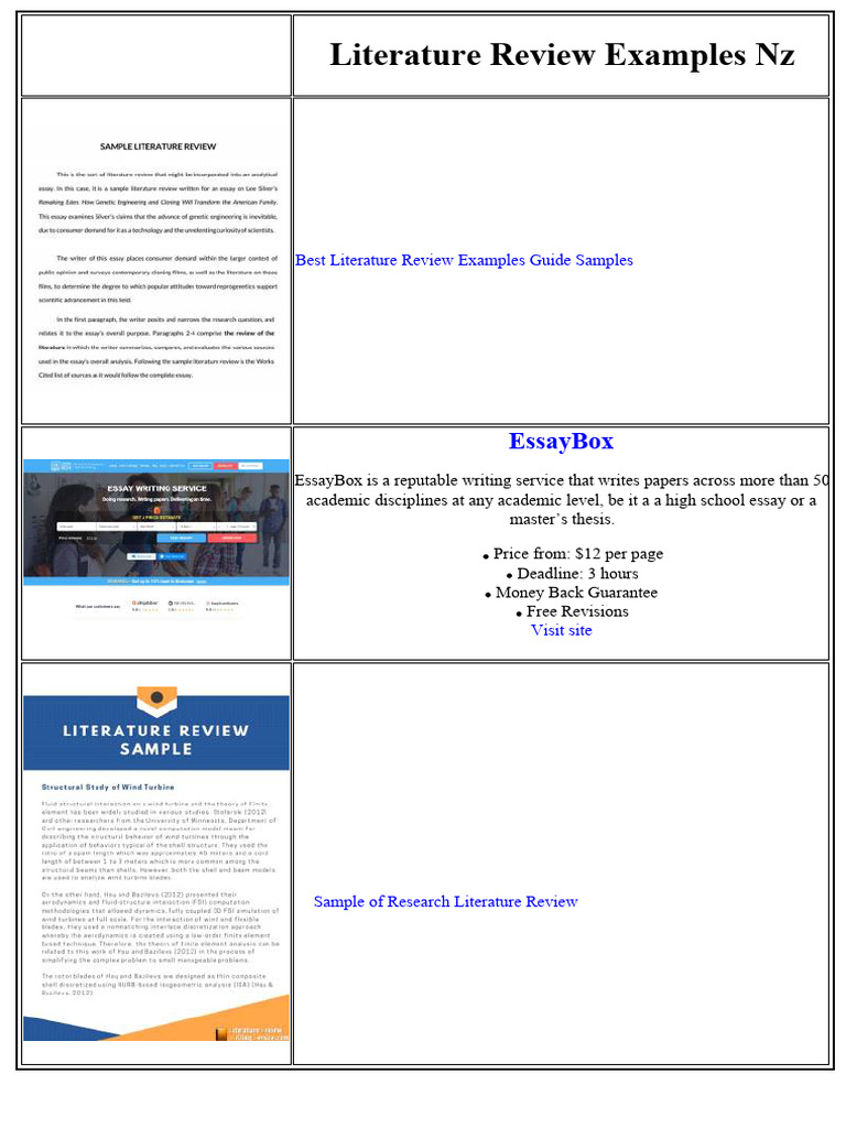 Literature Review Examples NZ | PDF | Essays | Literature Review