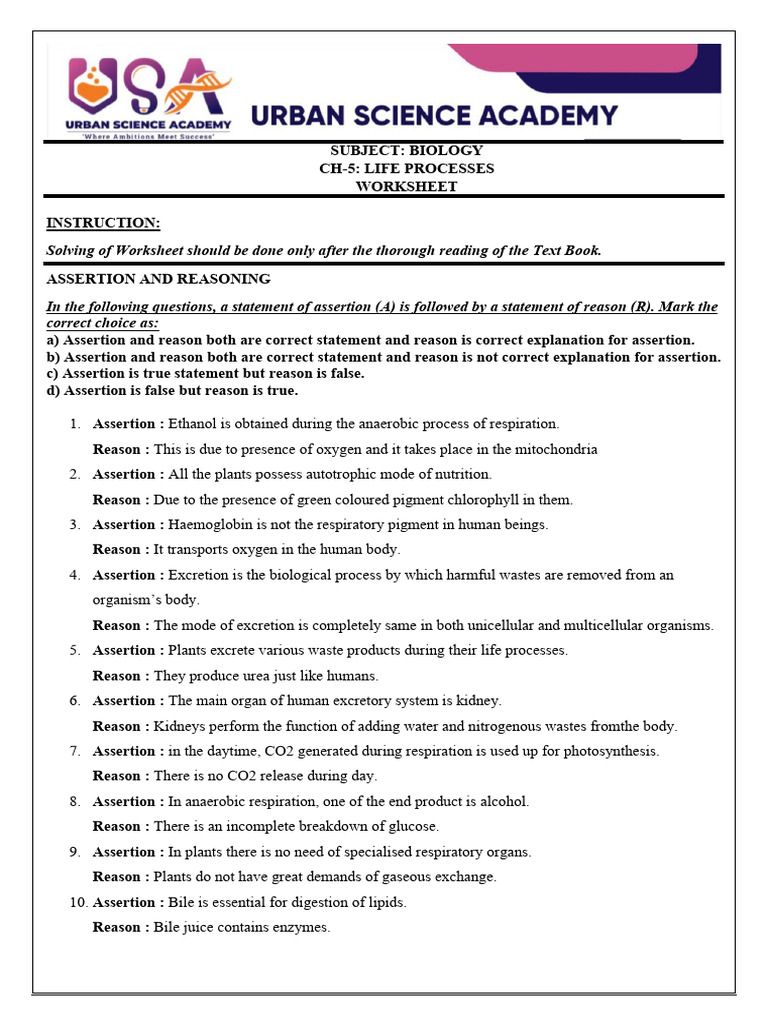 Chapter 5 - Life Processes Worksheet | PDF | Cellular Respiration | Heart