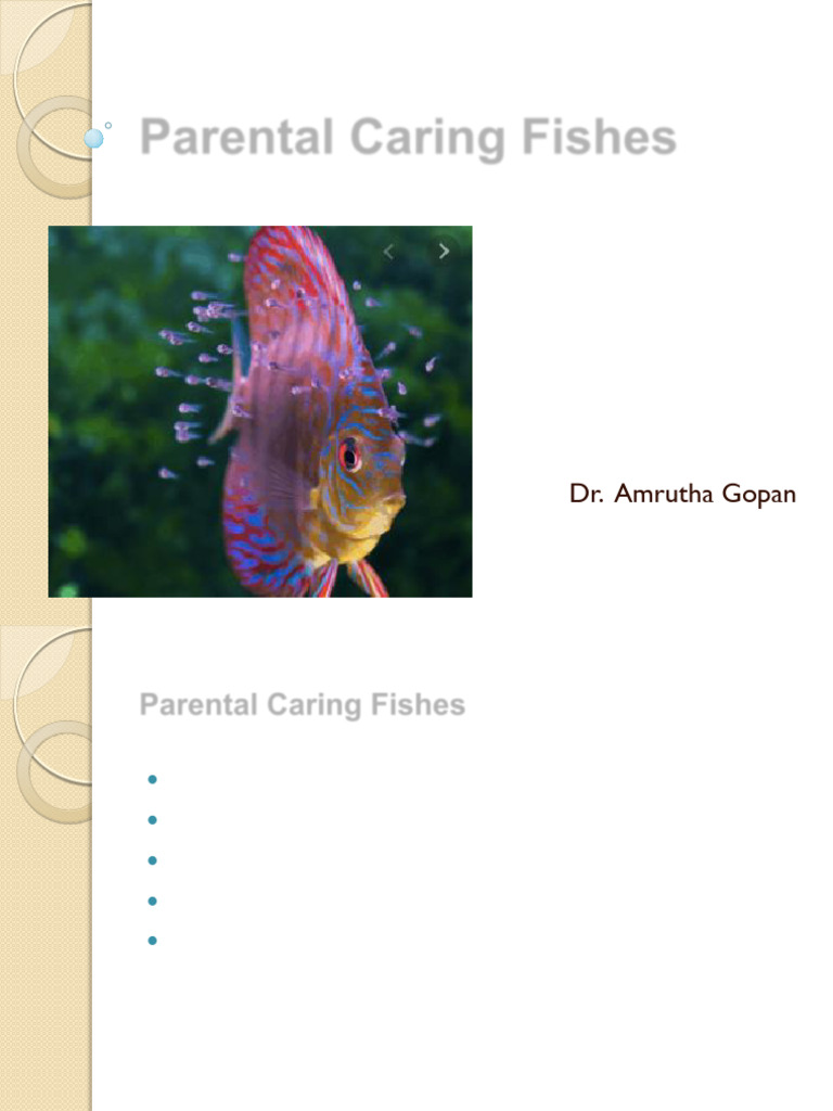 Parental Care and Growth | PDF | Fish | Nest