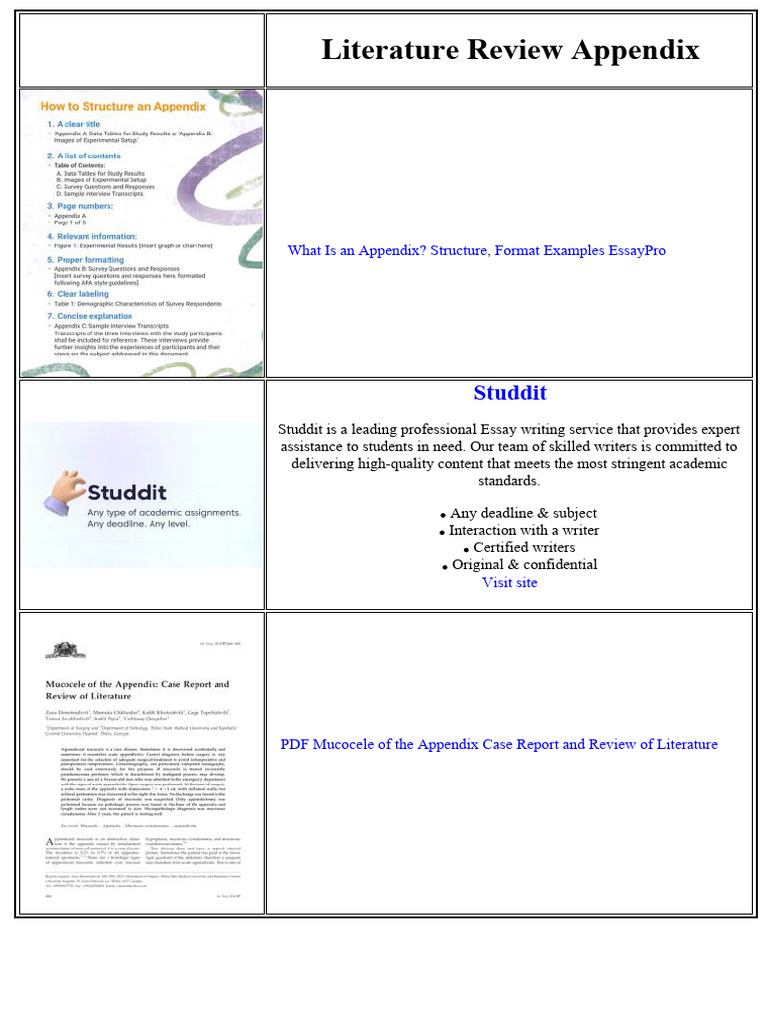 Literature Review Appendix | PDF | Systematic Review | Essays